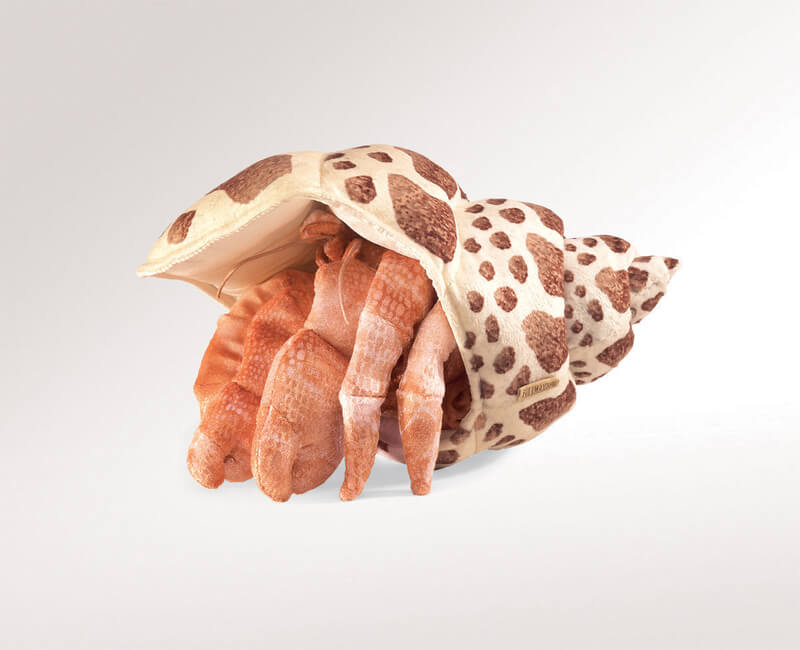 Folkmanis Sea Hermit Crab Puppet – Imagine If