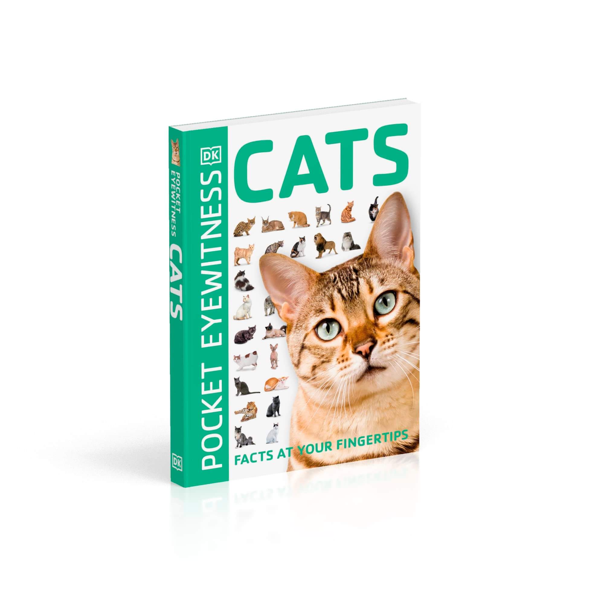 Pocket Eye Witness Cats – Imagine If