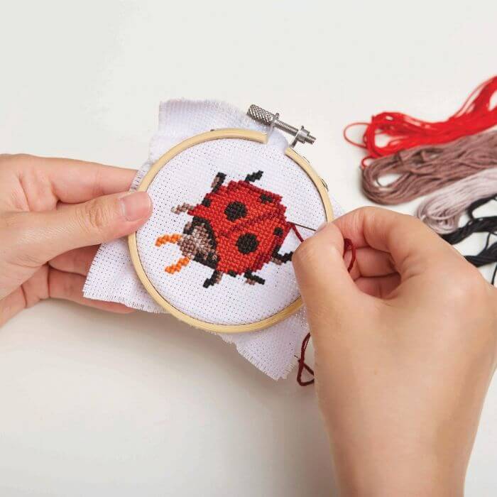 Mini Cross Stitch Ladybug Embroidery Kit – Imagine If