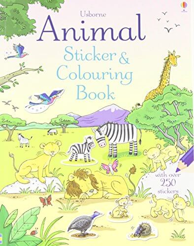 Usborne Wipe-Clean Animal Activities Book – Imagine If