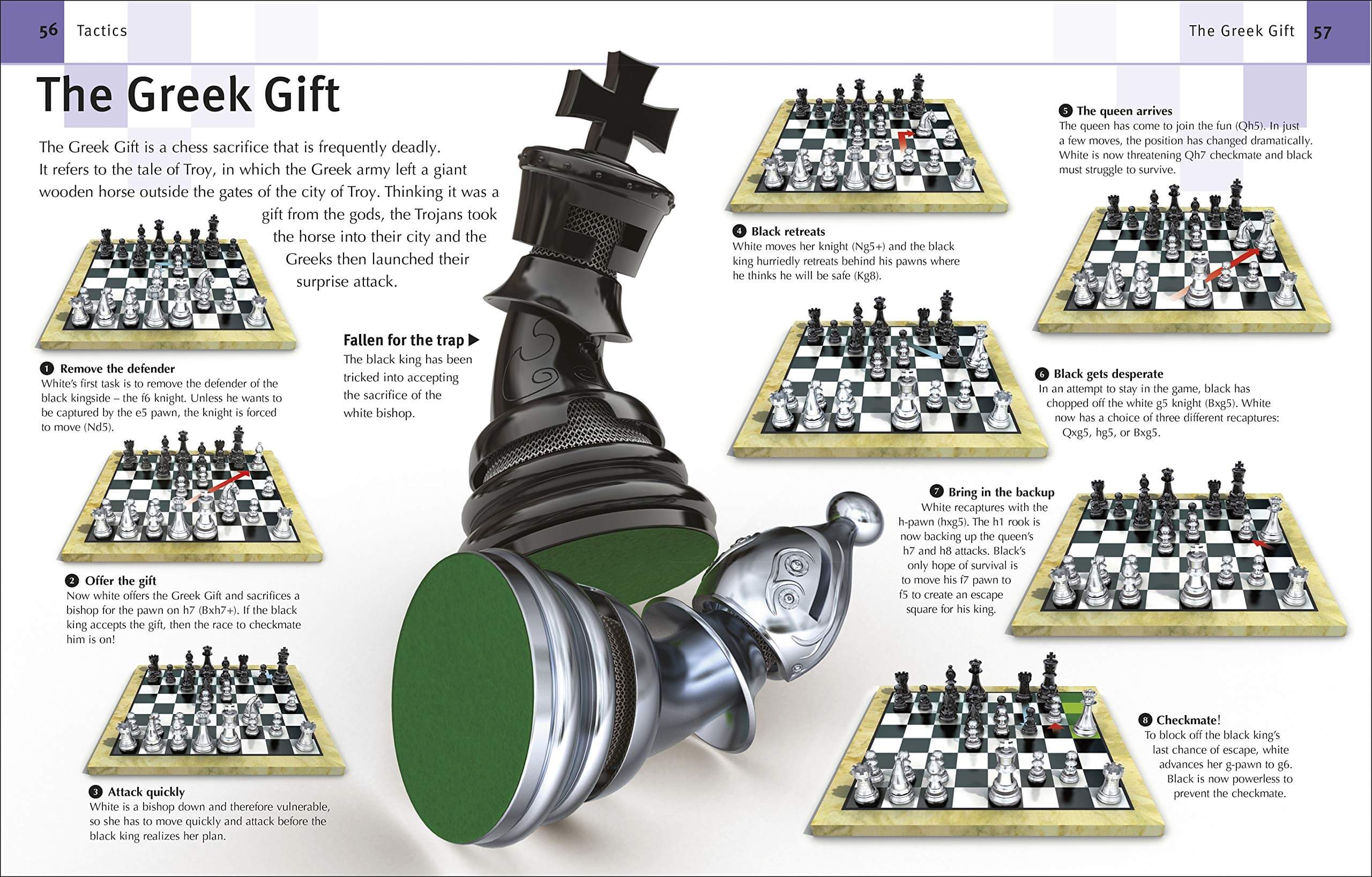 How To Play Chess Book – Imagine If