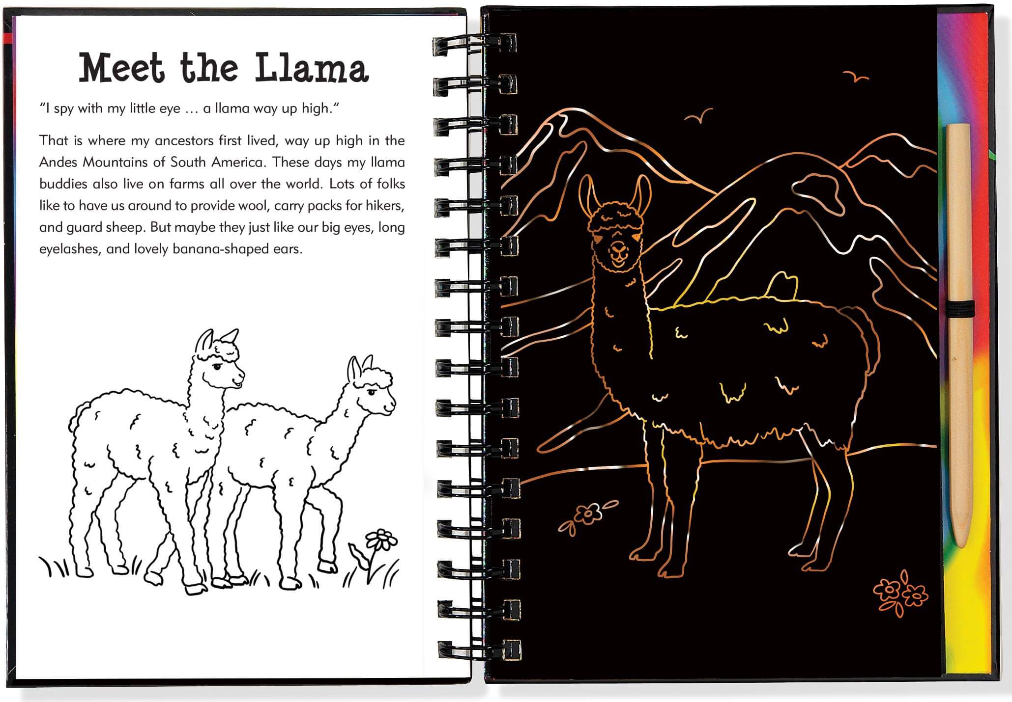 Scratch & Sketch Llamas and Friends Trace-Along – Imagine If