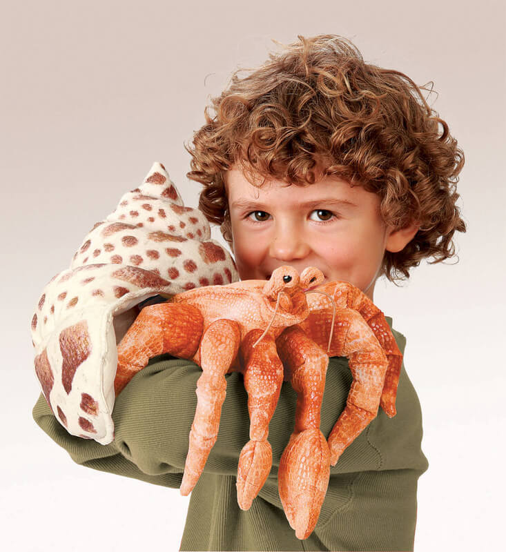 Folkmanis Sea Hermit Crab Puppet – Imagine If