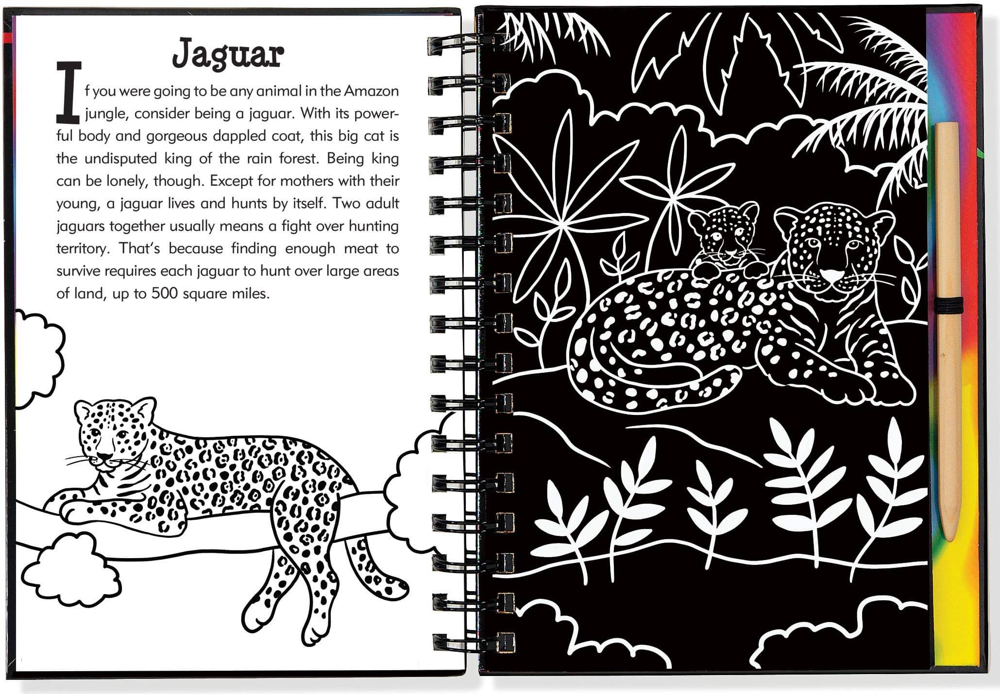 Scratch & Sketch Rain Forest Trace-Along – Imagine If