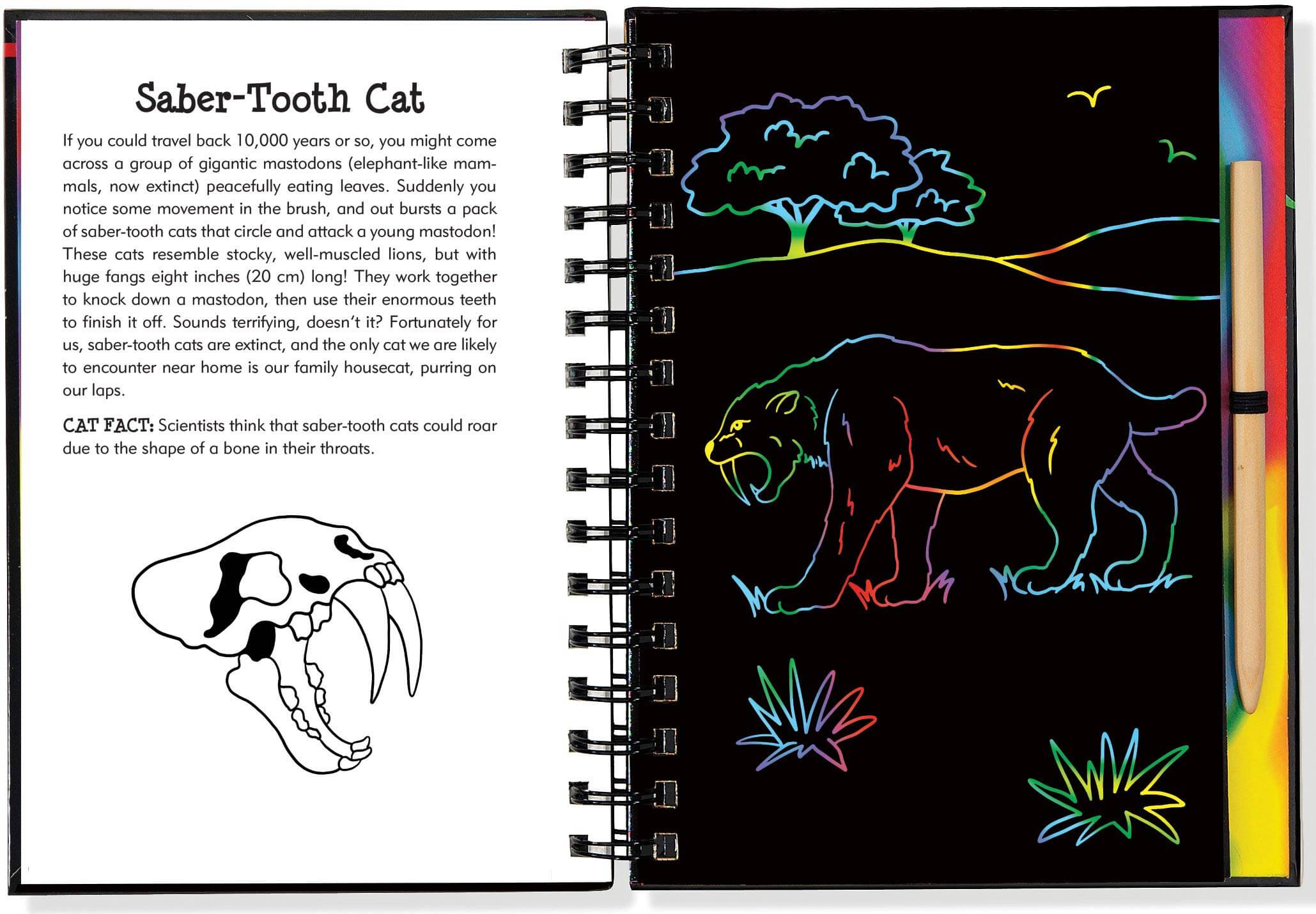 Scratch & Sketch Wild Cats Trace-Along – Imagine If