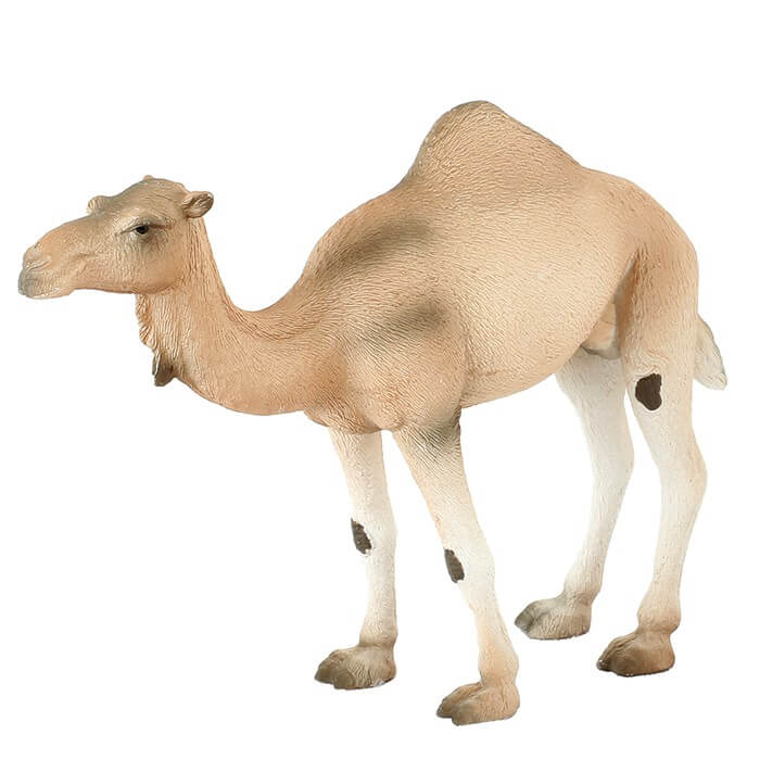 Mojo Camel Figure – Imagine If