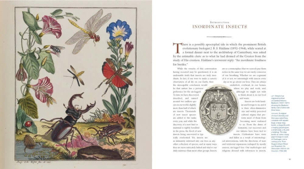 Innumerable Insects Book – Imagine If