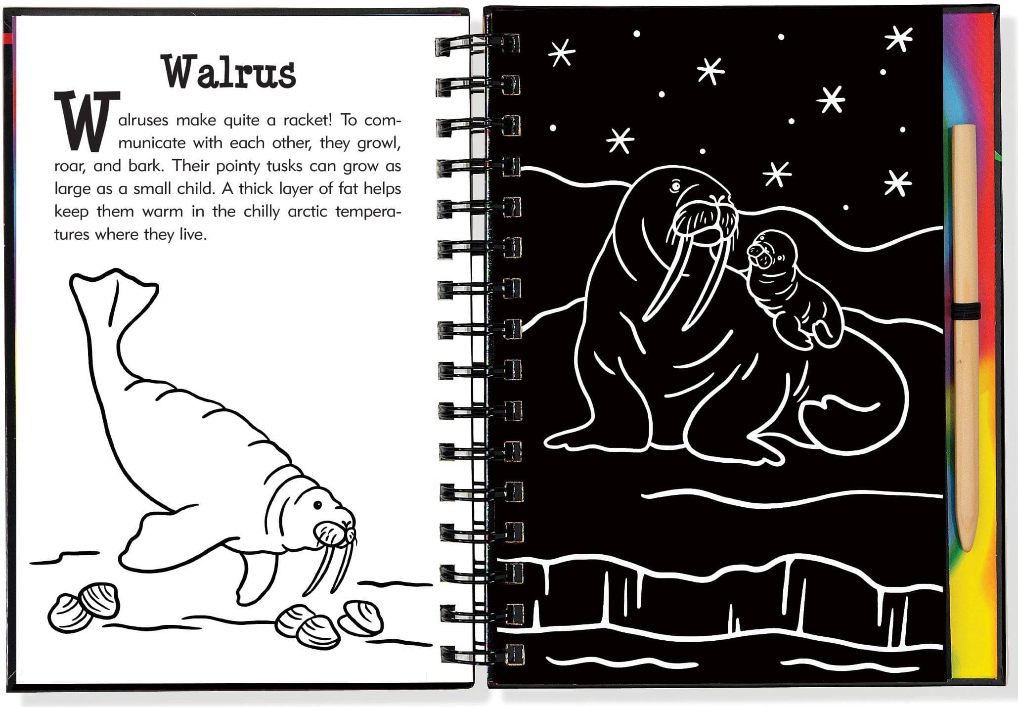 Scratch & Sketch Under the Sea Trace-Along – Imagine If