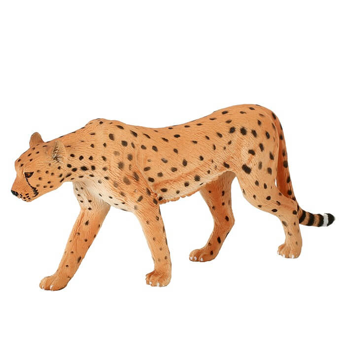 Mojo Cheetah – Imagine If