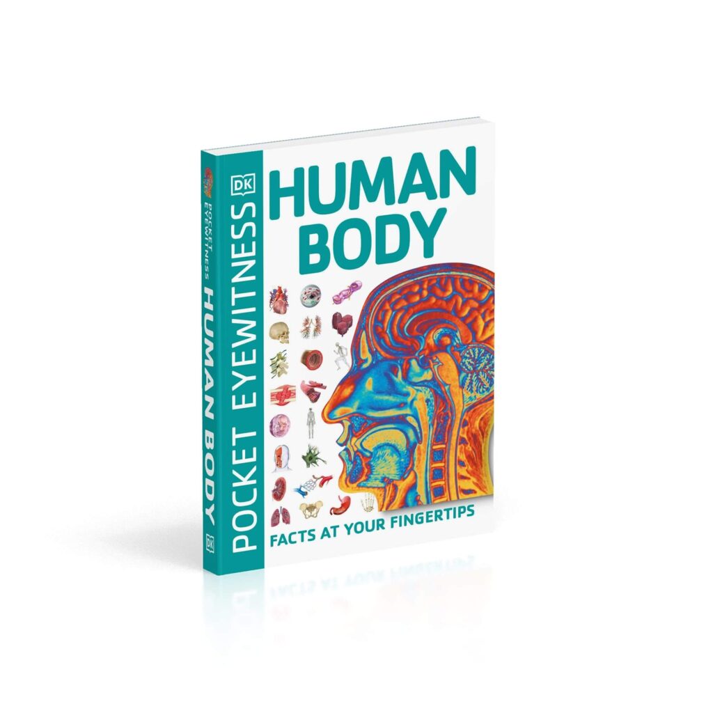 Pocket Eyewitness The Human Body – Imagine If