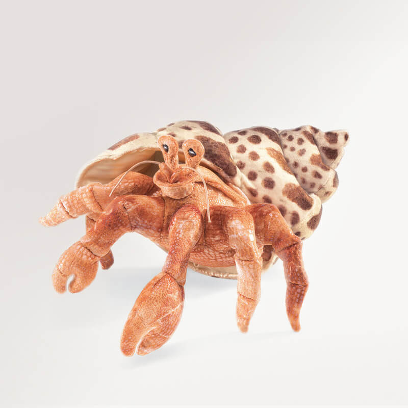 Folkmanis Sea Hermit Crab Puppet – Imagine If